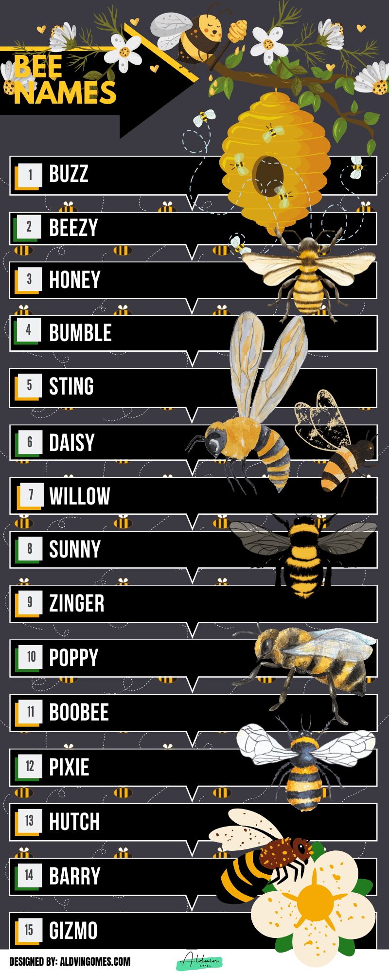 Bee Names: 333+ Buzzworthy Names Too Awesome For Pet Bees – Aldvin Gomes